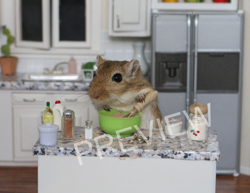8 x 10 Mocha in Kitchen Framed Print - Gerbil Meets Mouse Publishing